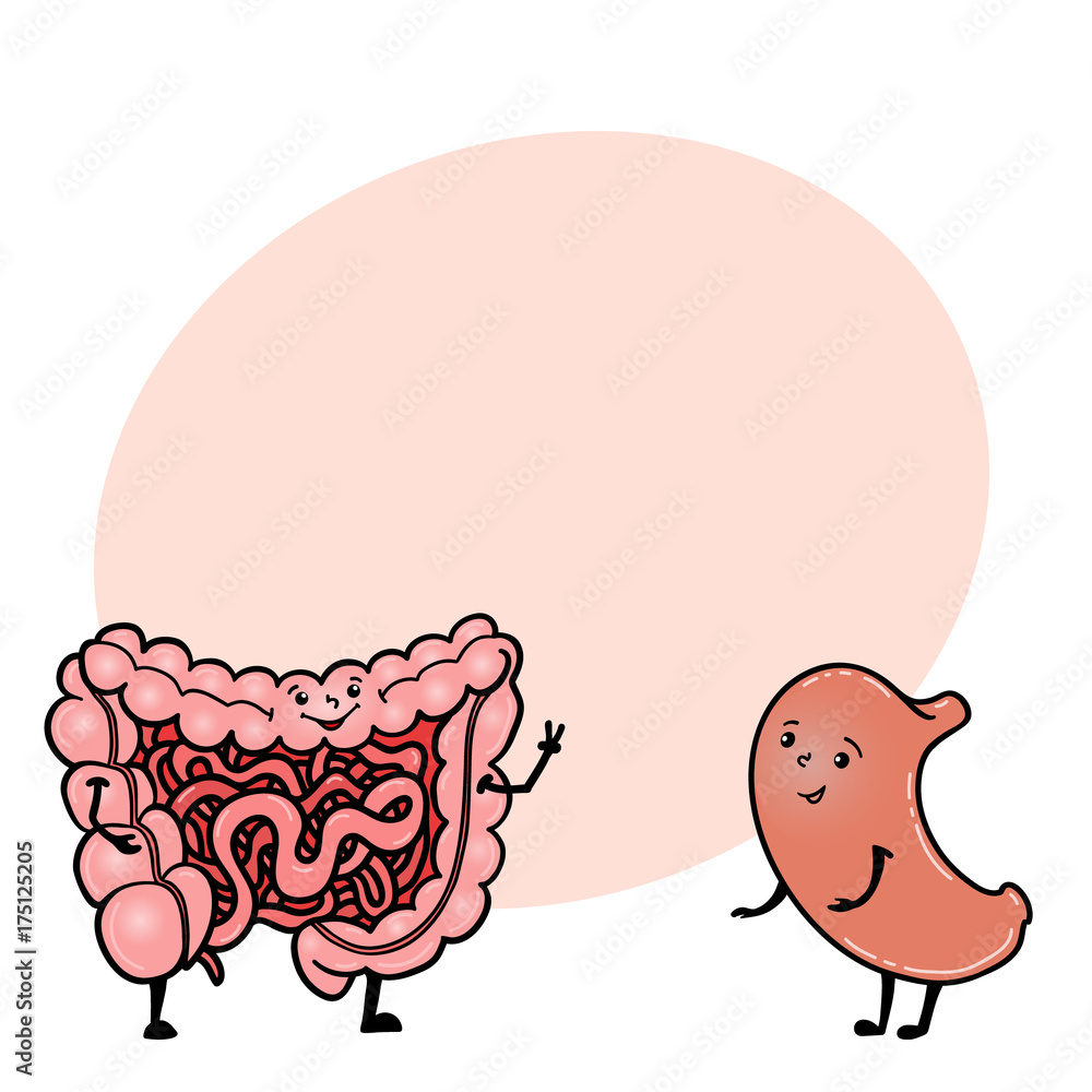 Funny Gut Bowel And Stomach Character With Human Face And Round Space