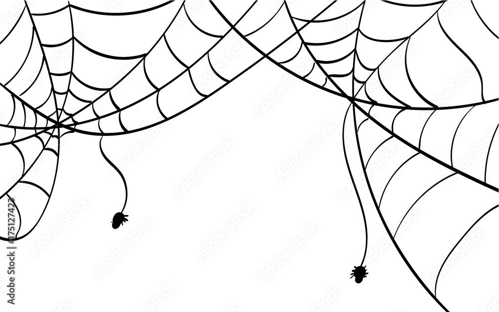 Spider webs in the top corners with spiders dangling down from them ...