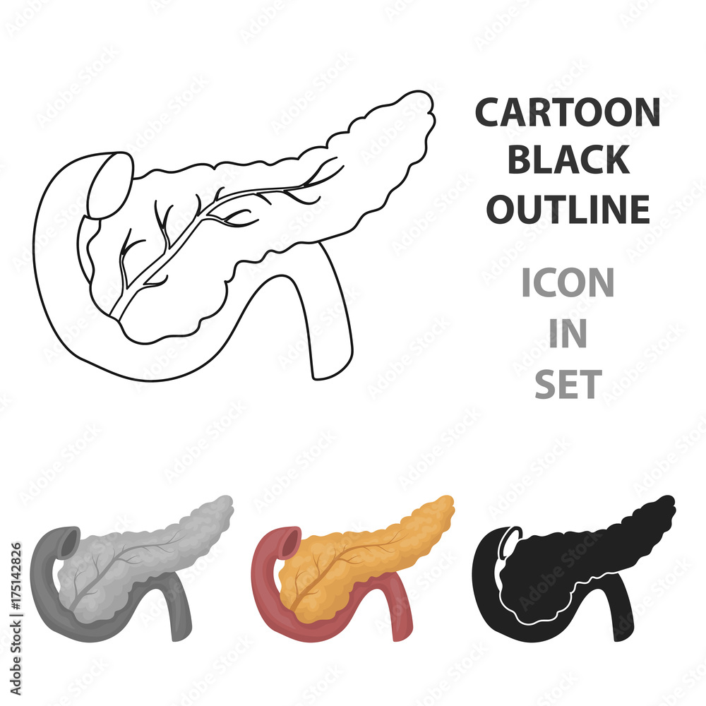 Pancreas icon in cartoon style isolated on white background. Organs ...