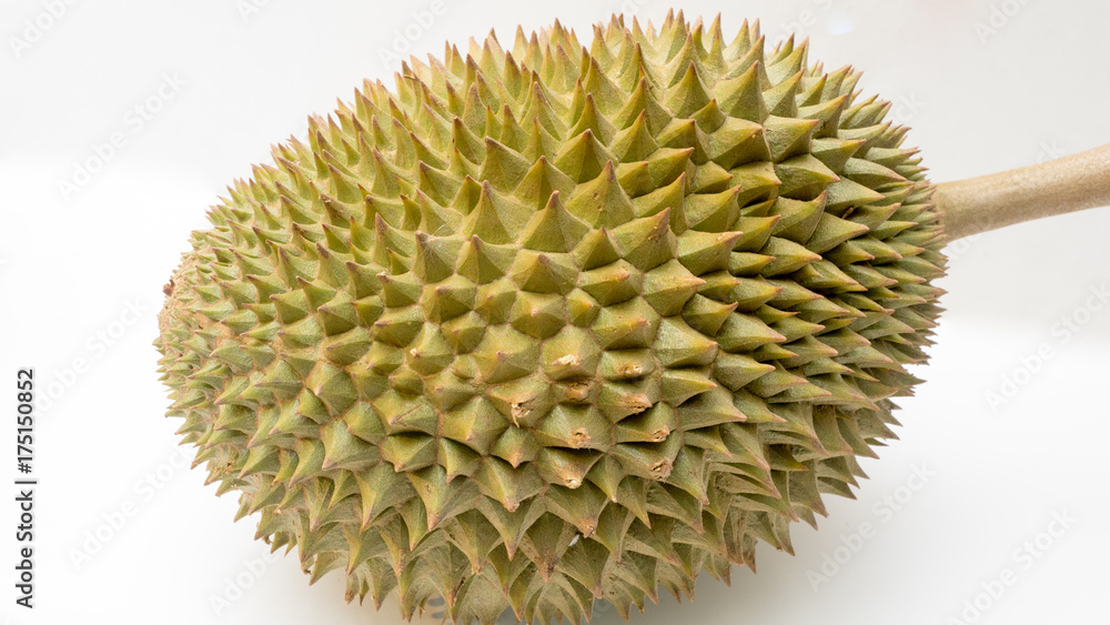 Durian white background Stock Photo | Adobe Stock