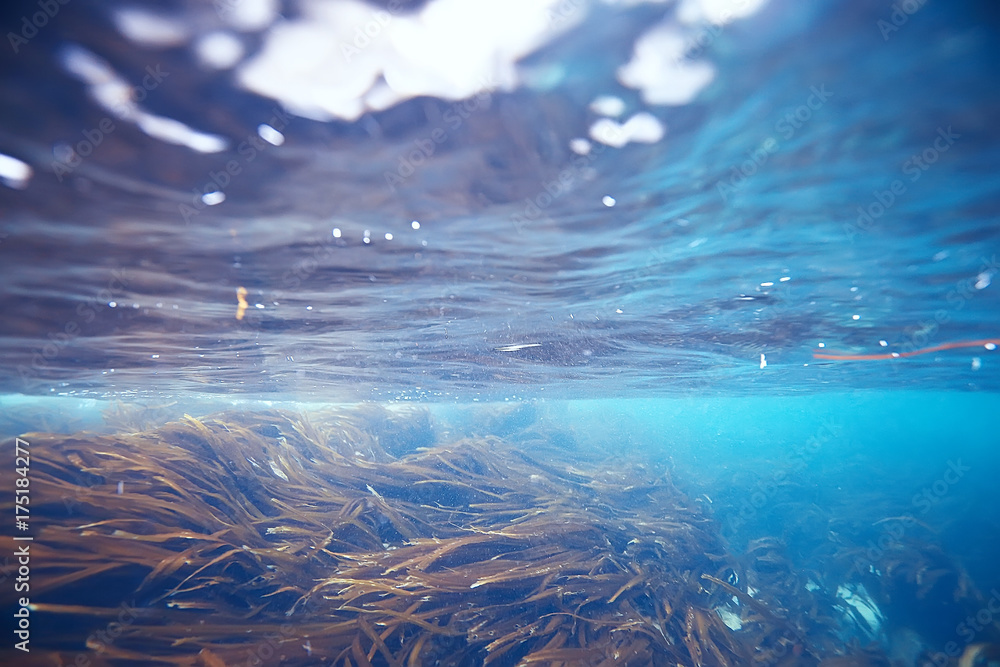 sea water texture, underwater background Stock Photo | Adobe Stock