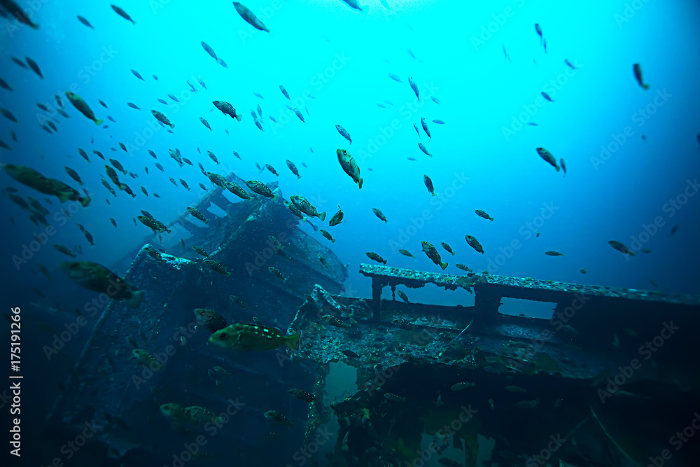 shipwreck, diving on a sunken ship, underwater landscape Stock Photo ...