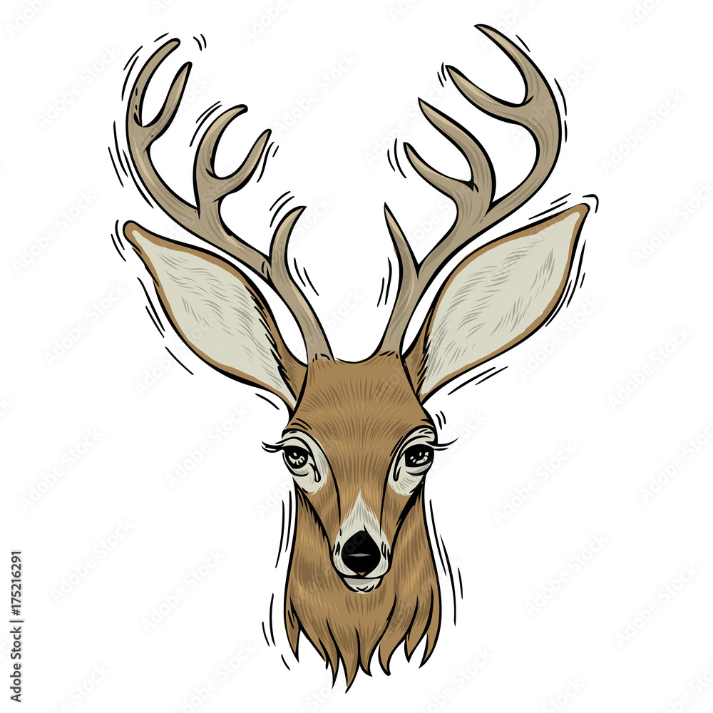 Hand drawn head of deer, Vectorial isolated elements vector ...