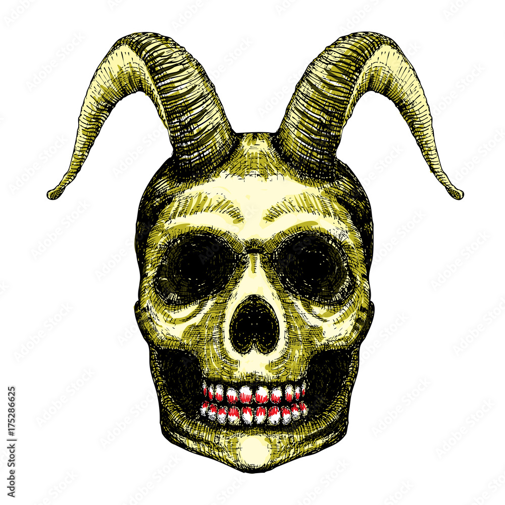 Skull with horns. Human skull with goat horns. Demon Head. A demon ...