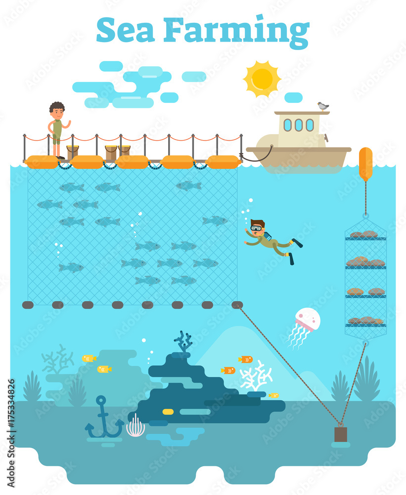 Sea Farming - Aquaculture concept illustration with growing fish and ...