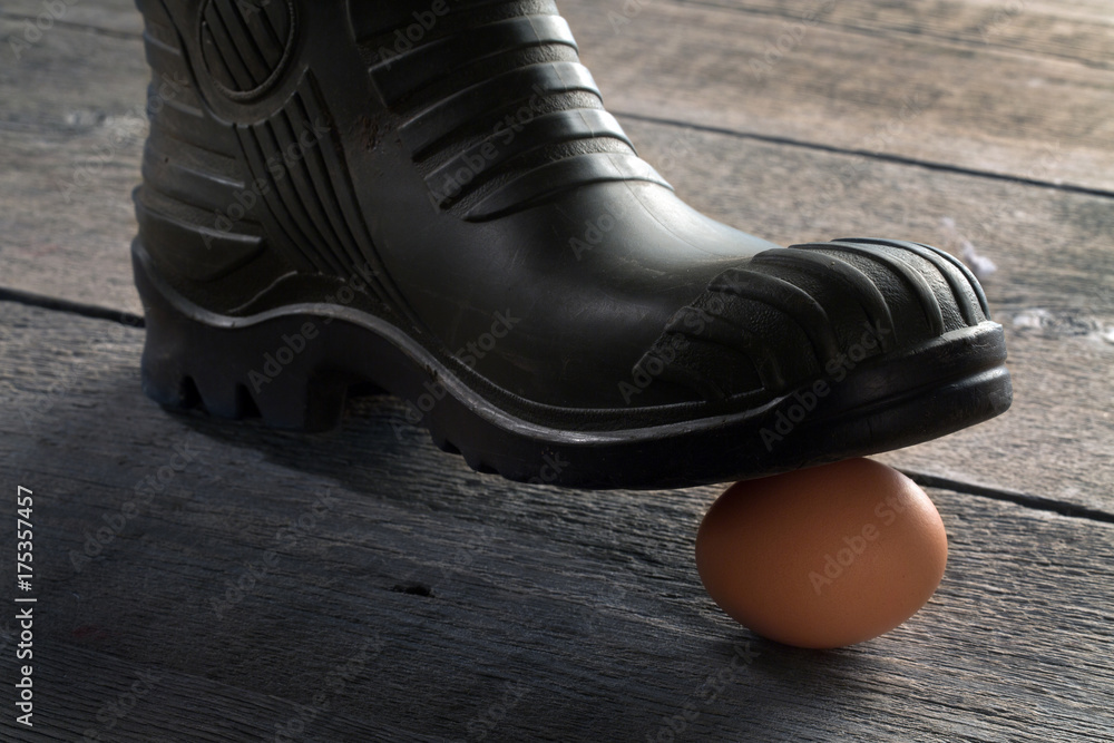 foot in a rubber boot over a chicken egg Stock Photo | Adobe Stock