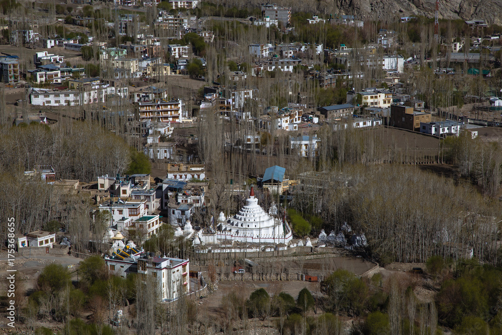 View of Leh city, the capital of Ladakh, Northern India. Leh city is ...