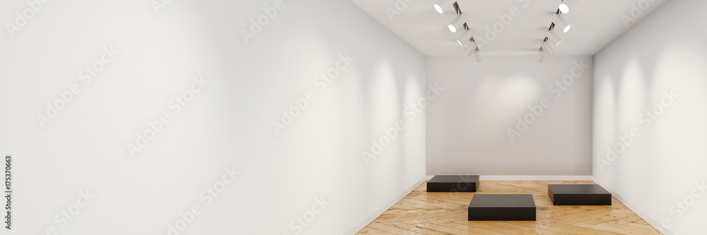 Empty museum showcase with customizable copy space. Original design and ...