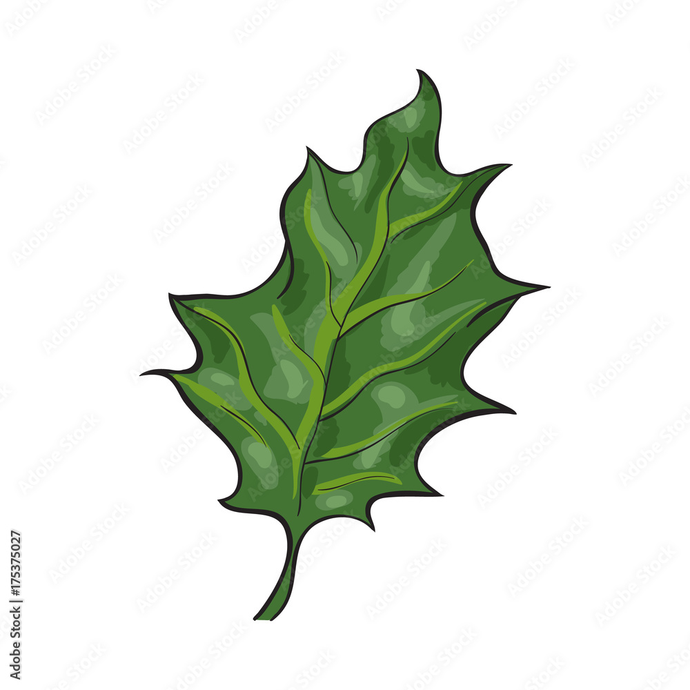 Mistletoe Leaf Template