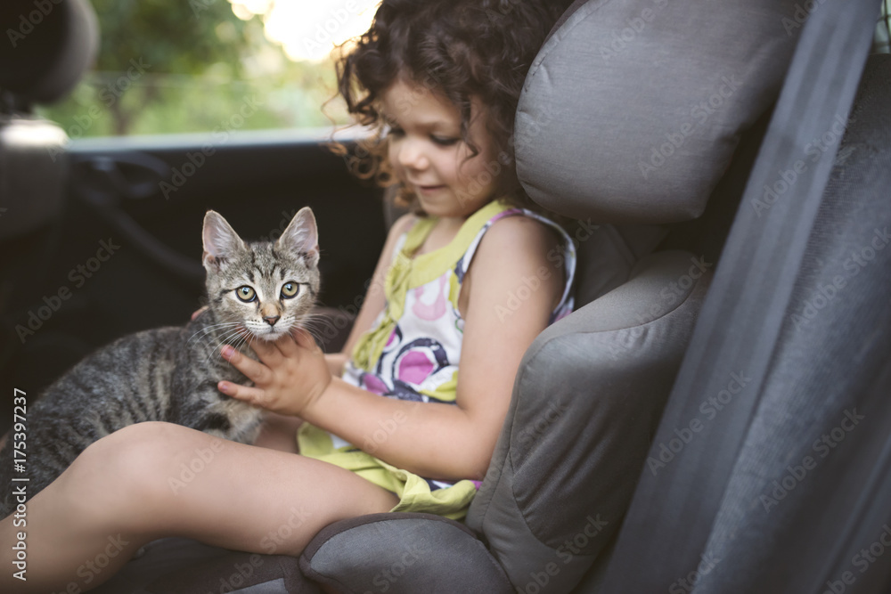 Little girl sitting in a car with a cat on her lap Stock Photo | Adobe ...