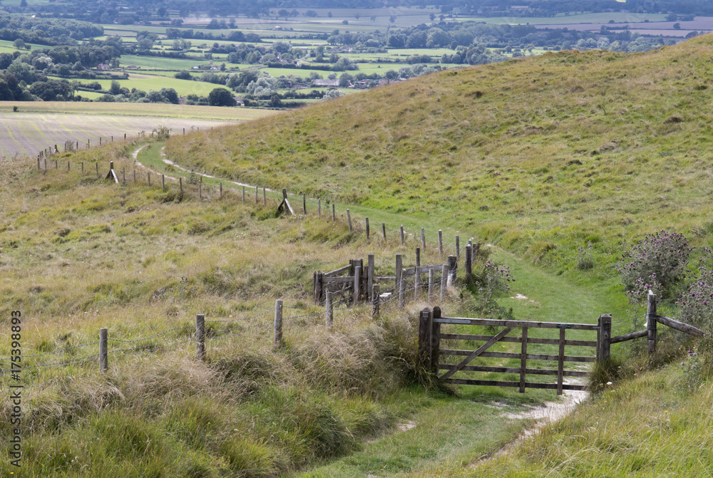 Gate on path in UK countryside Stock Photo | Adobe Stock