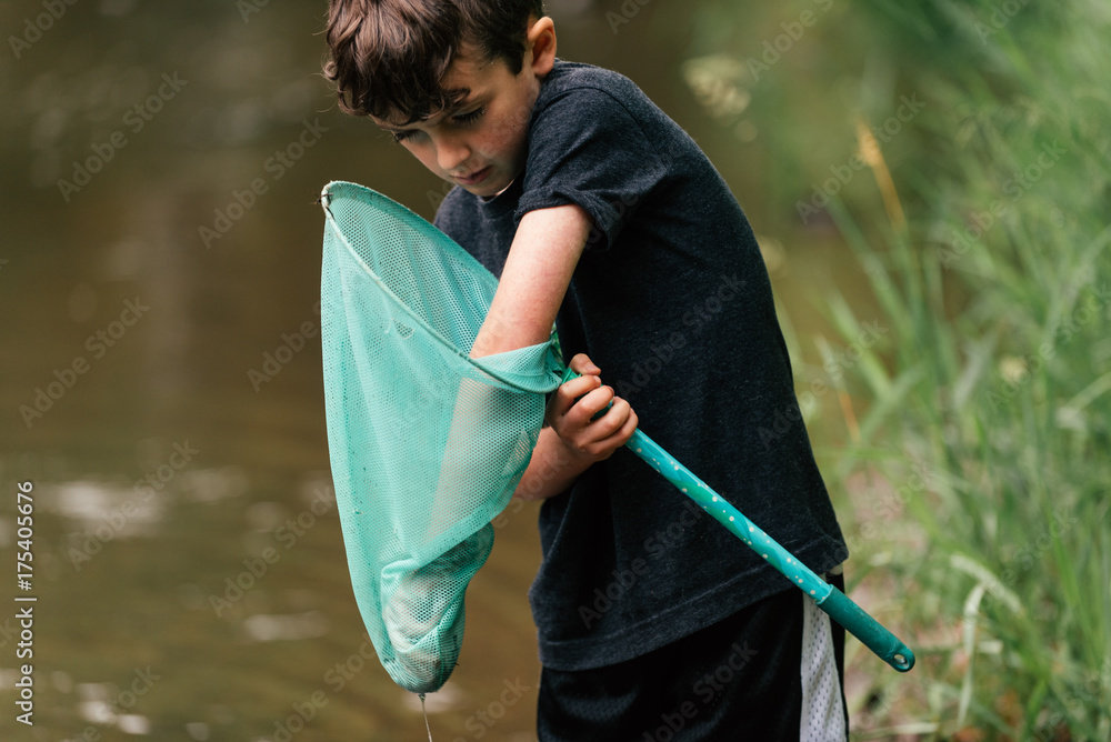 Foto de A young boy trying to catch fish with a net in a creek do Stock ...