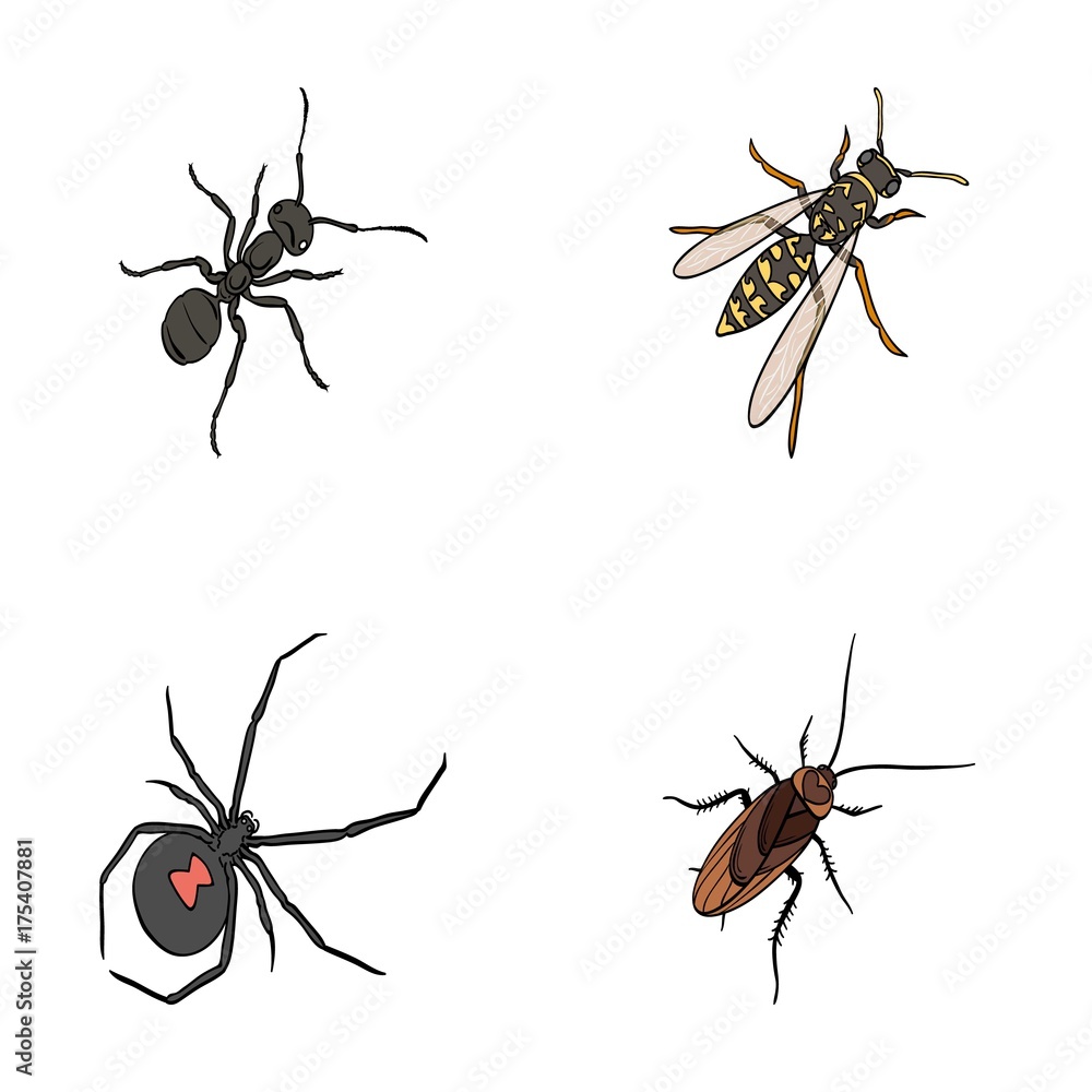 An insect arthropod, an osa, a spider, a cockroach. Insects set ...