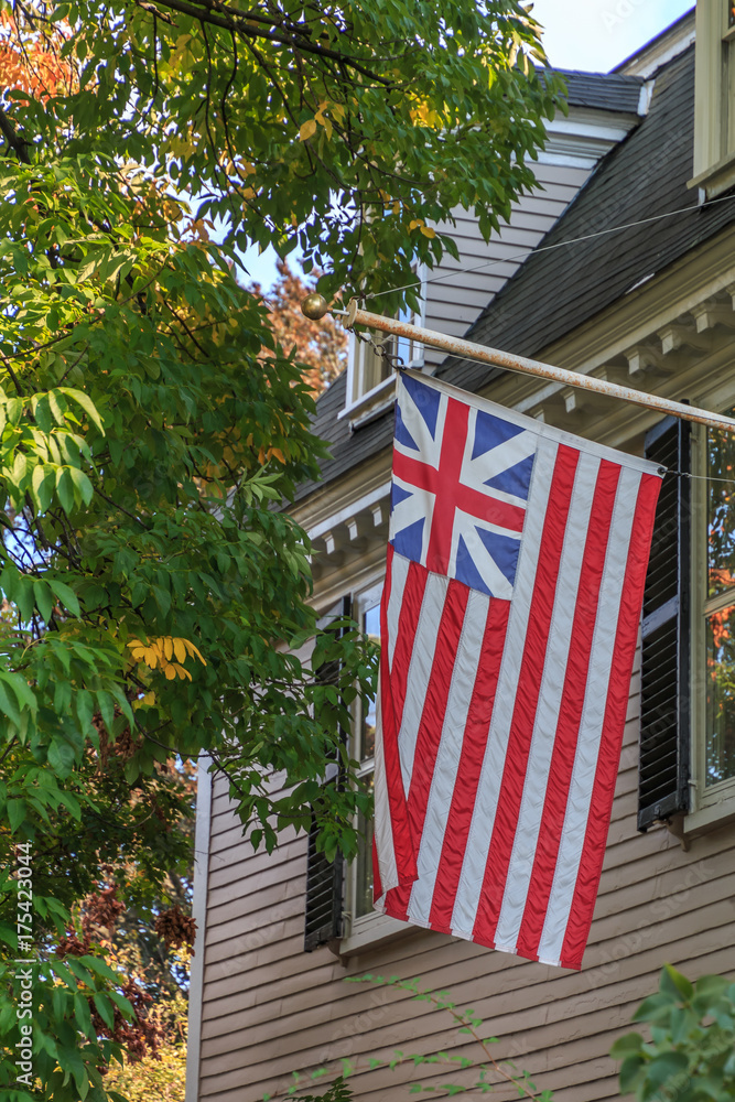 Grand union flag flying from a historic house. The house and trees are ...