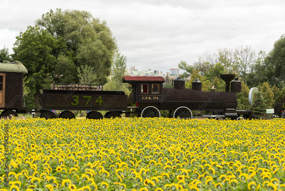 Sunflowers and train made by plants 2 Stock Photo | Adobe Stock