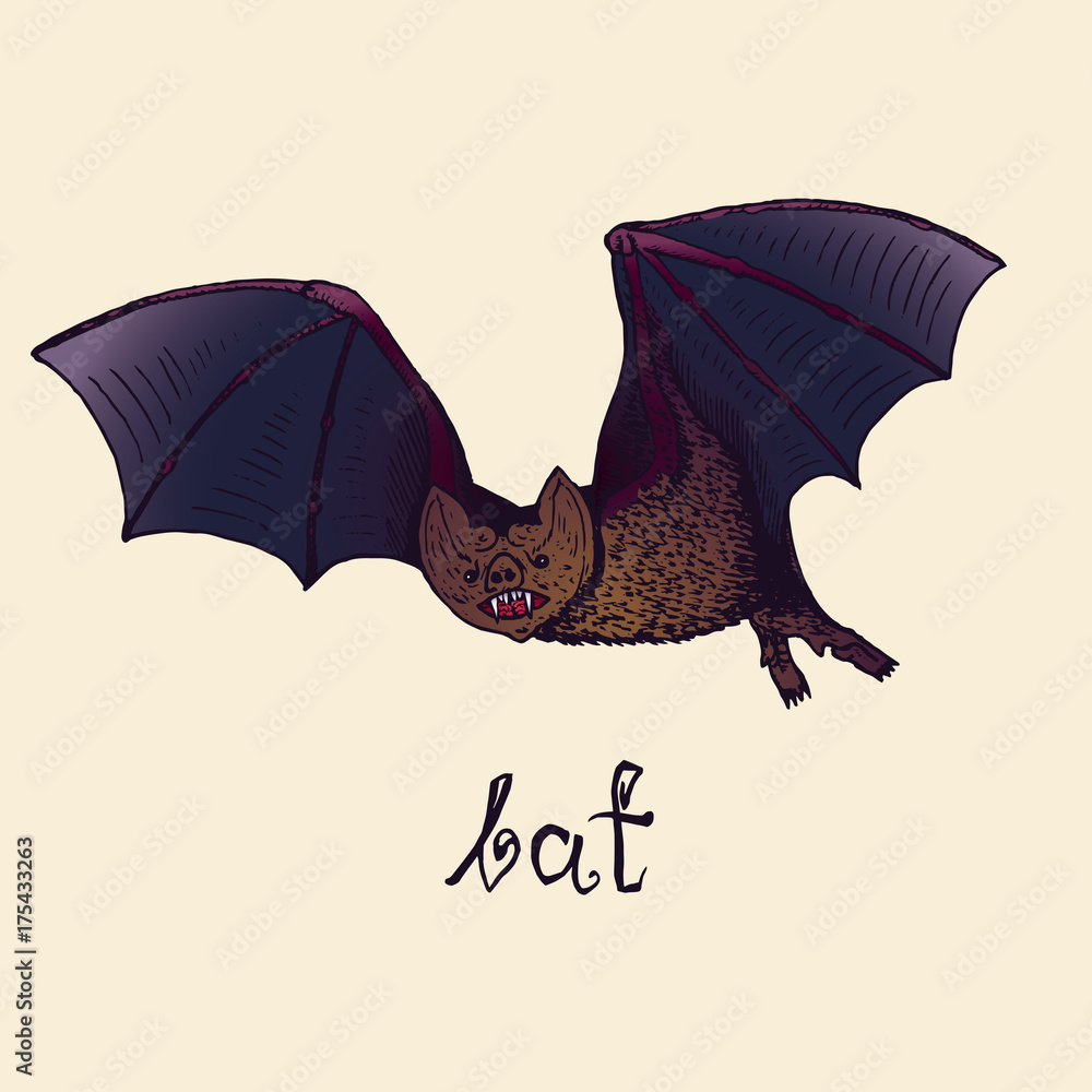 Bat with inscription, woodcut style design, hand drawn doodle, sketch ...