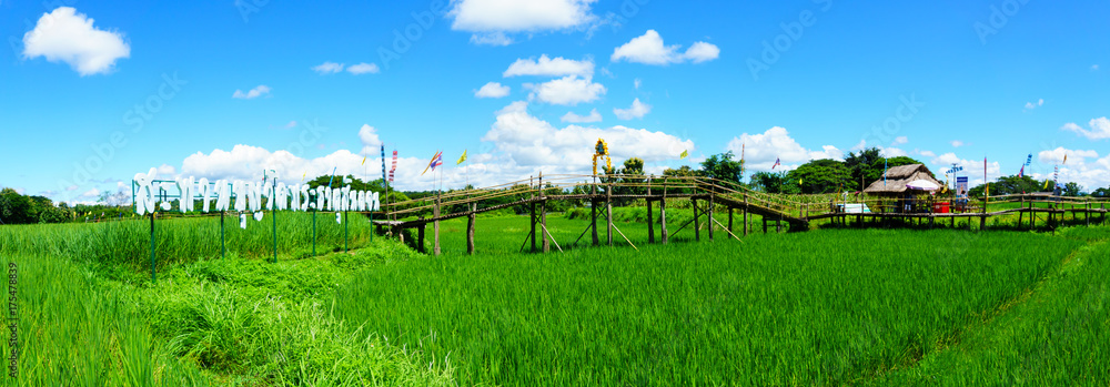 beautiful Rural bamboo bridge across the rice paddy fields with blue ...