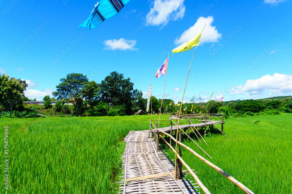 beautiful Rural bamboo bridge across the rice paddy fields with blue ...