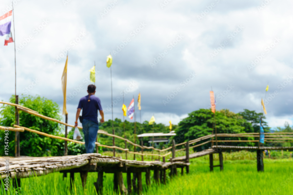 beautiful Rural bamboo bridge across the rice paddy fields with asian ...