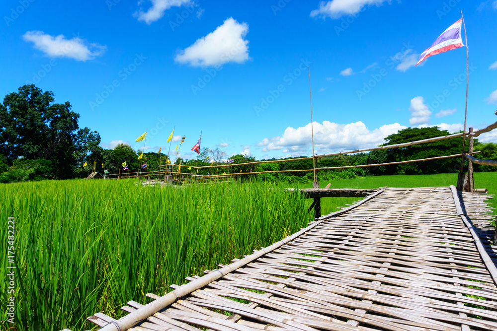 beautiful Rural bamboo bridge across the rice paddy fields with blue ...