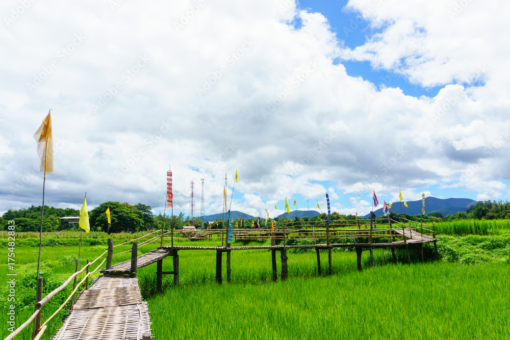 beautiful Rural bamboo bridge across the rice paddy fields with blue ...