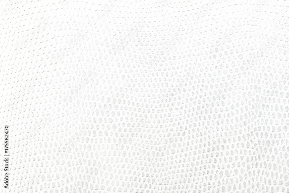 White snake Leather background texture Stock Photo | Adobe Stock