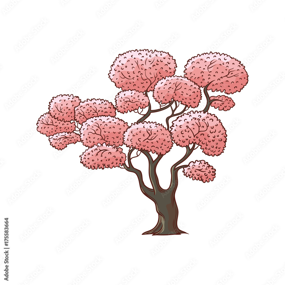 Blossoming pink cherry, sakura tree, flat cartoon vector illustration ...