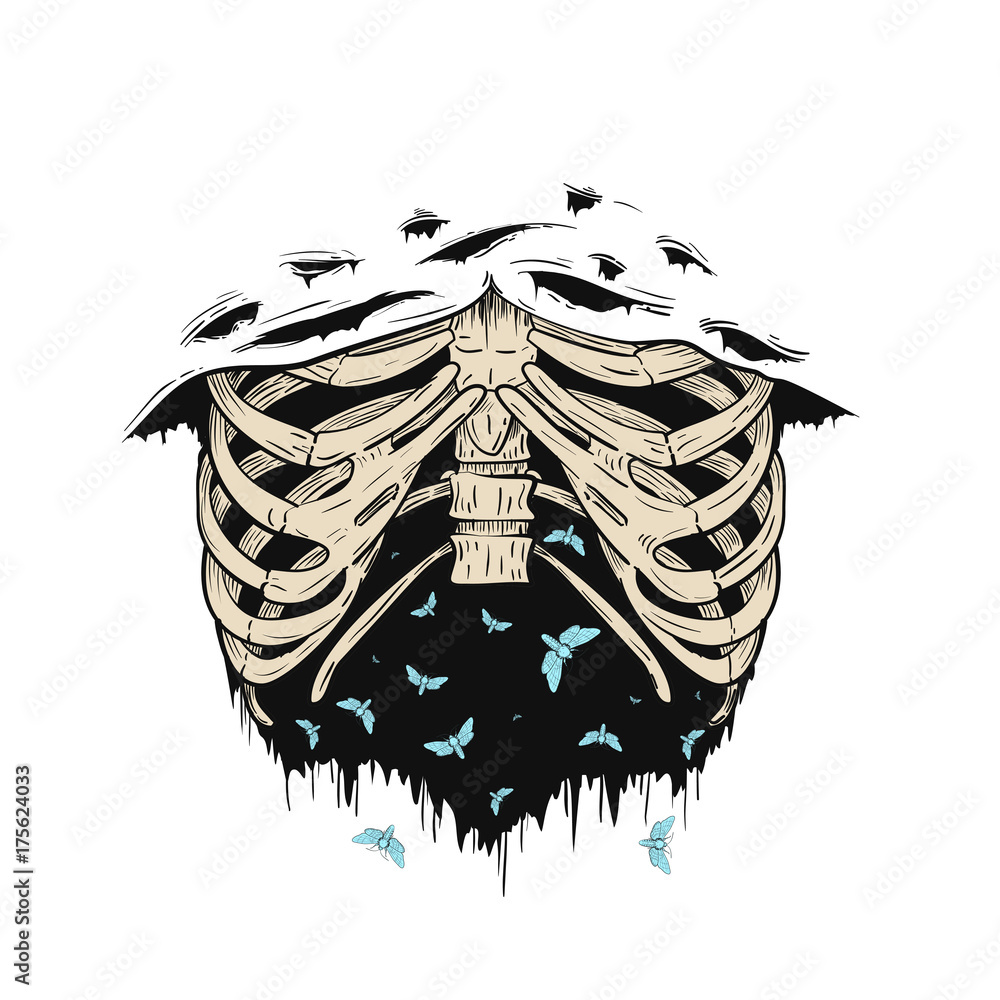 Human ribs or rib cage with flying moths in retro vintage style. Design ...