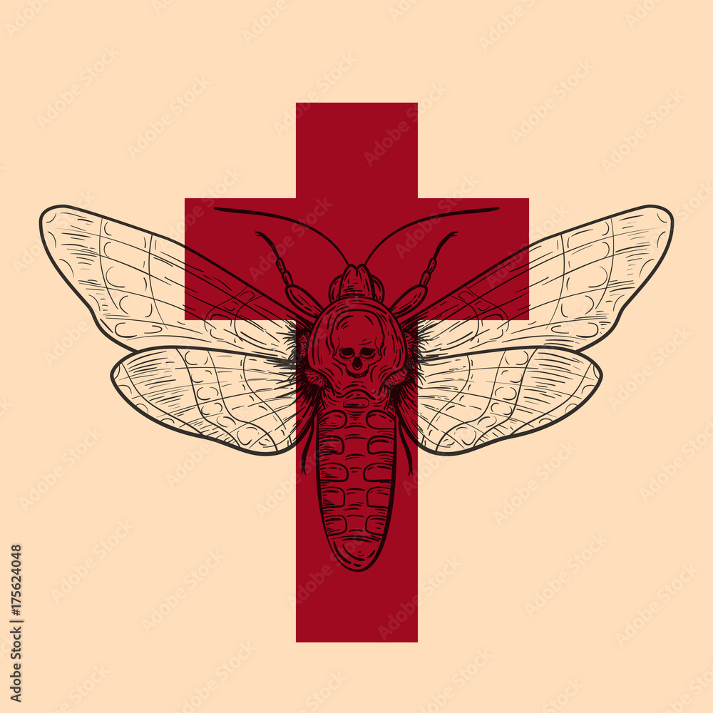 Death head hawk moth with red cross in retro vintage style. Design ...