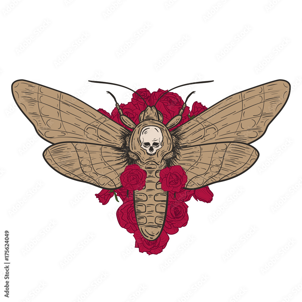Death head hawk moth with red roses in retro vintage style. Design ...