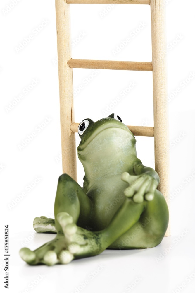 Frog sitting in front of a ladder Stock Photo | Adobe Stock