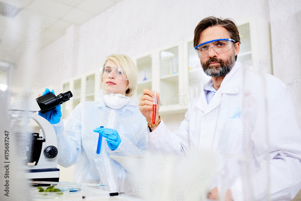 Group portrait of hard-working scientists posing for photography while ...