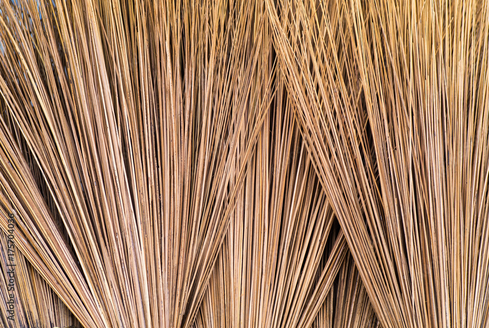Coconut Leaves Products