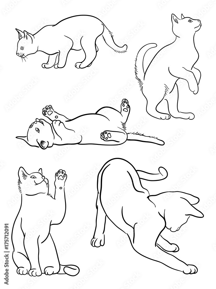 Cat line on a white background vector 05. Good use for symbol, logo ...