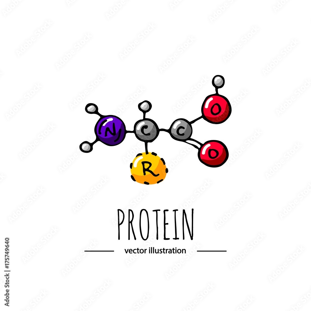 Hand drawn doodle Protein chemical formula icon Vector illustration ...