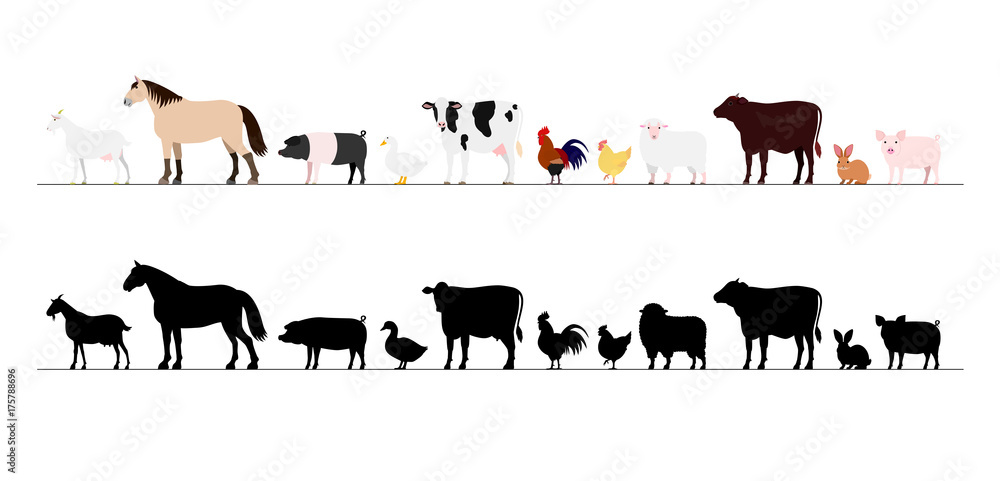Farm animals border set Stock Vector | Adobe Stock