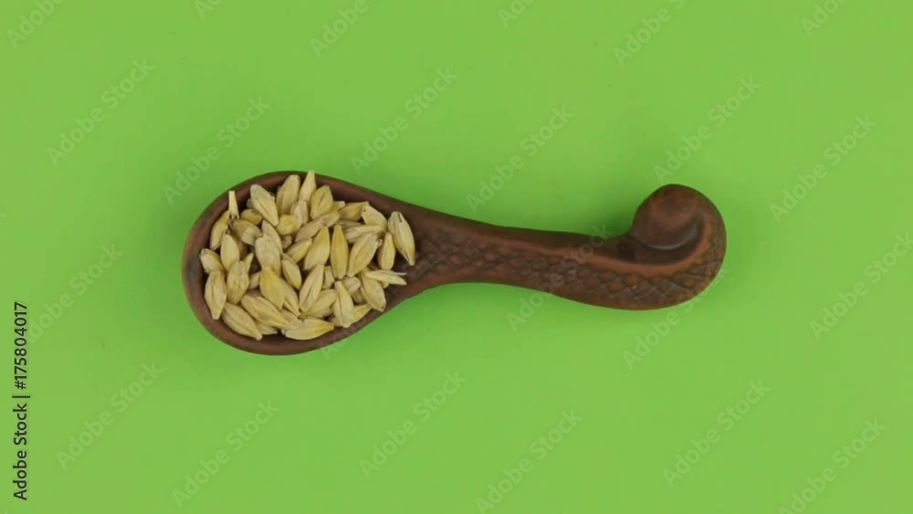 Zoom of a clay spoon with barley grain. Chroma key, green screen. Stock ...