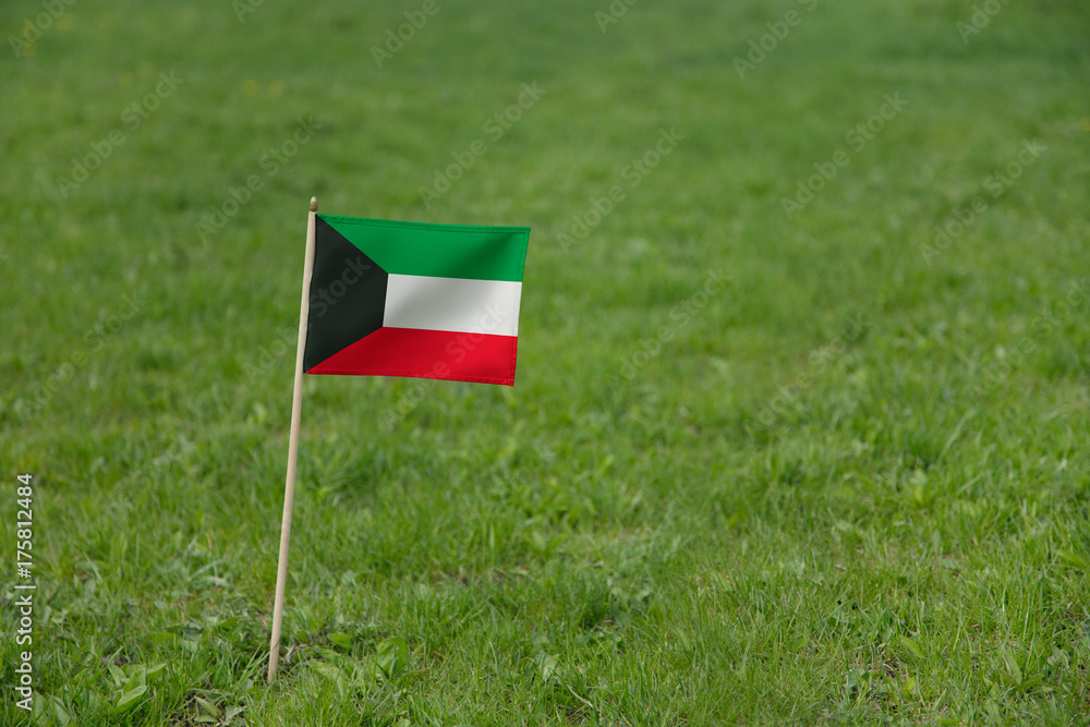 Kuwait flag on a green grass lawn field background. National flag of ...