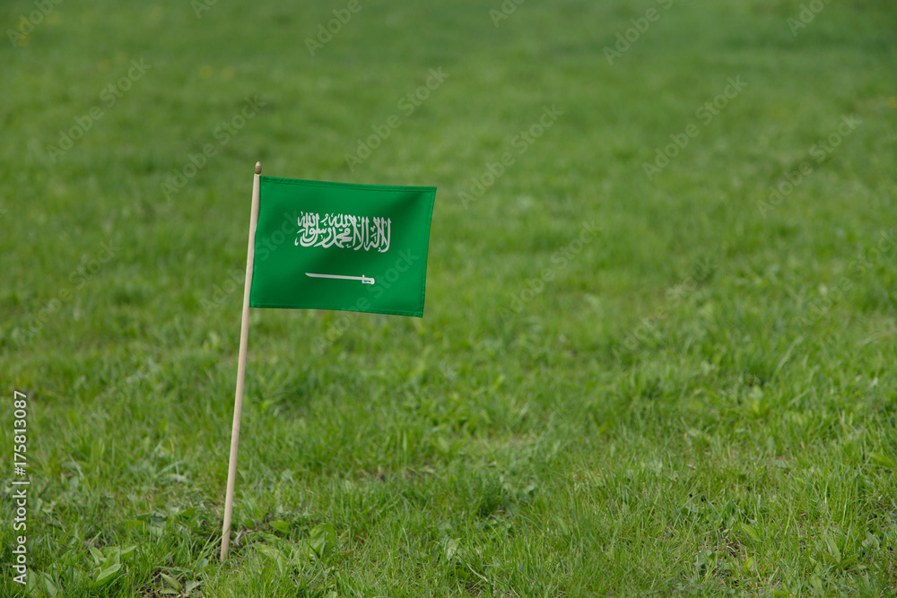 Saudi Arabia flag, Saudi Arabian flag on a green grass lawn field ...