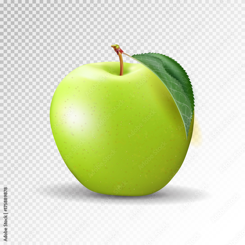 Perfect Fresh Green Apple Isolated on transparent background. Vector ...