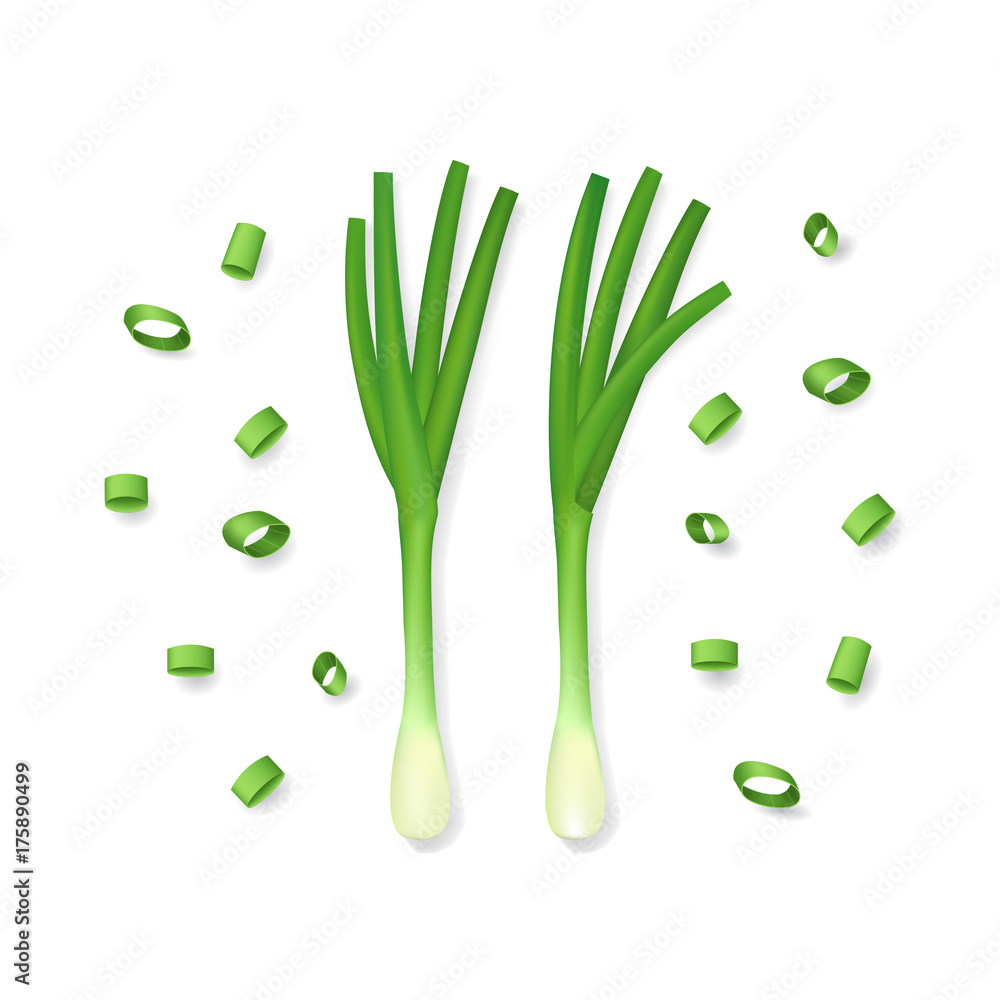 Realistic 3d Detailed Spring Onions. Vector Stock Vector | Adobe Stock