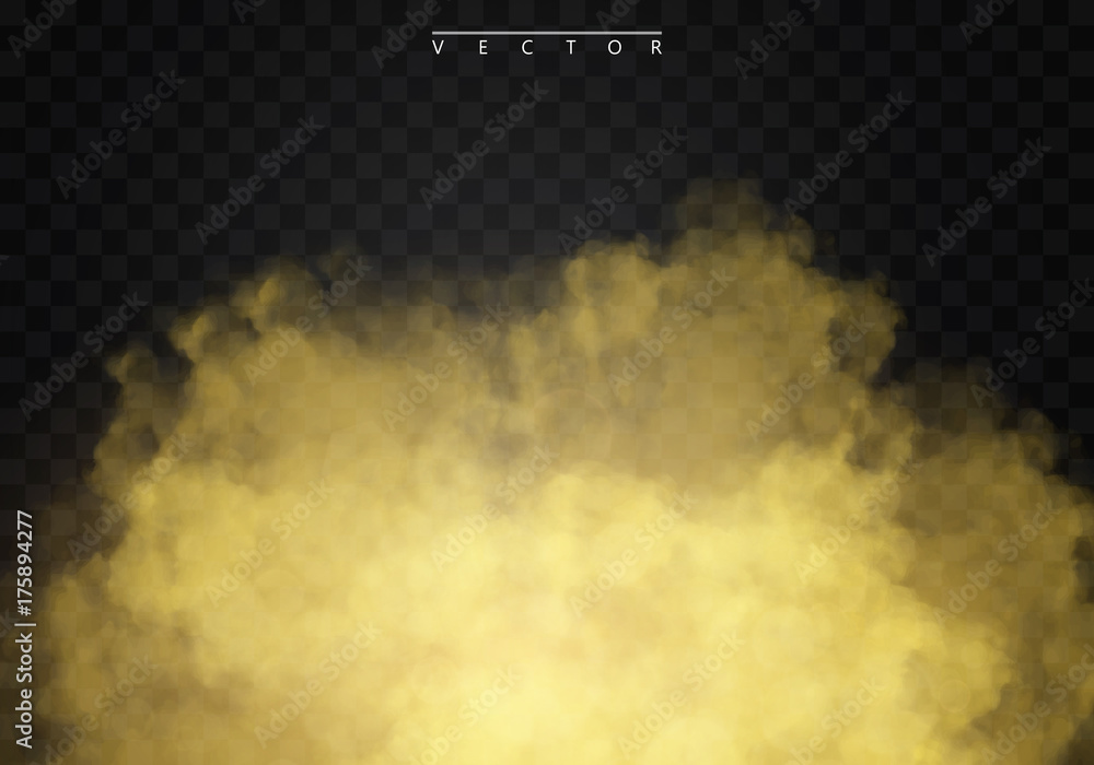 Vettoriale Stock Golden fog or smoke isolated on a transparent ...