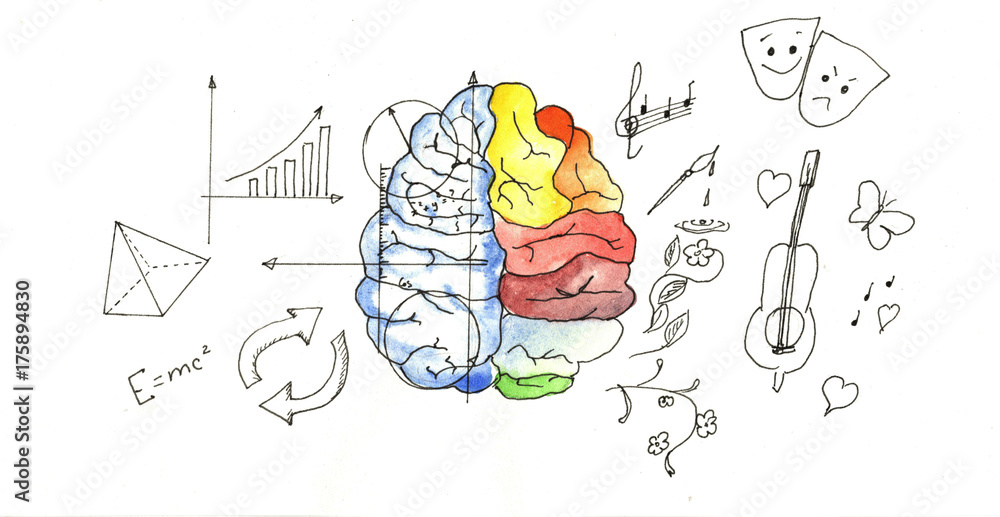 drawing diagram of the difference between the left and right ...