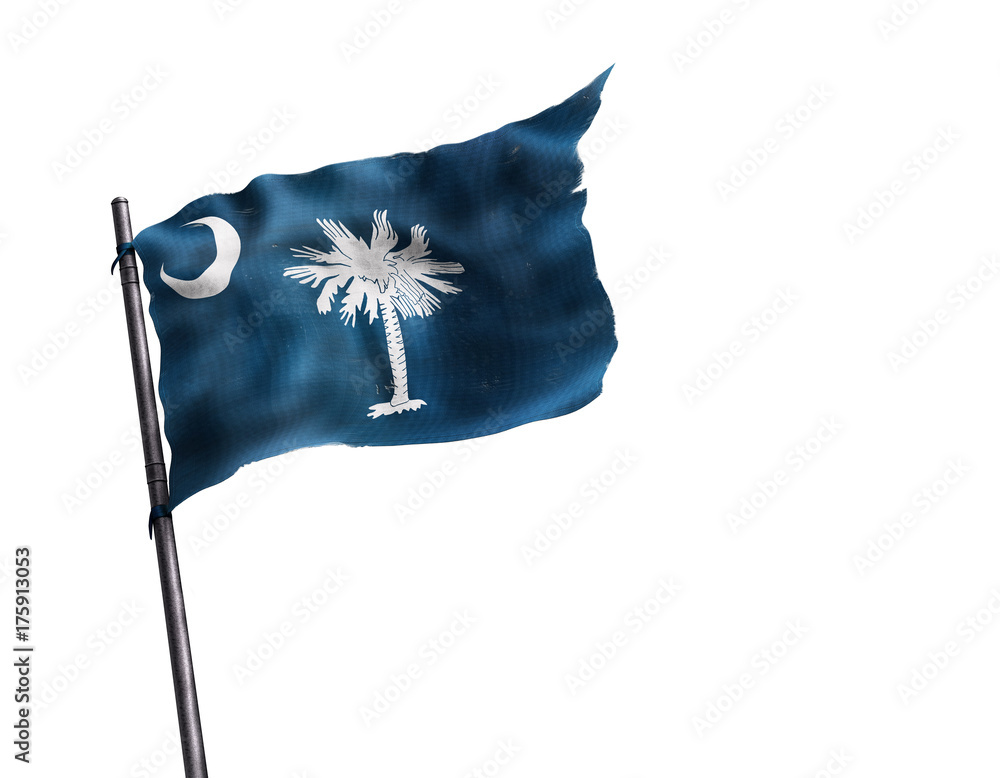 Drapeau de Caroline du Sud (USA) sur fond blanc Stock Illustration ...