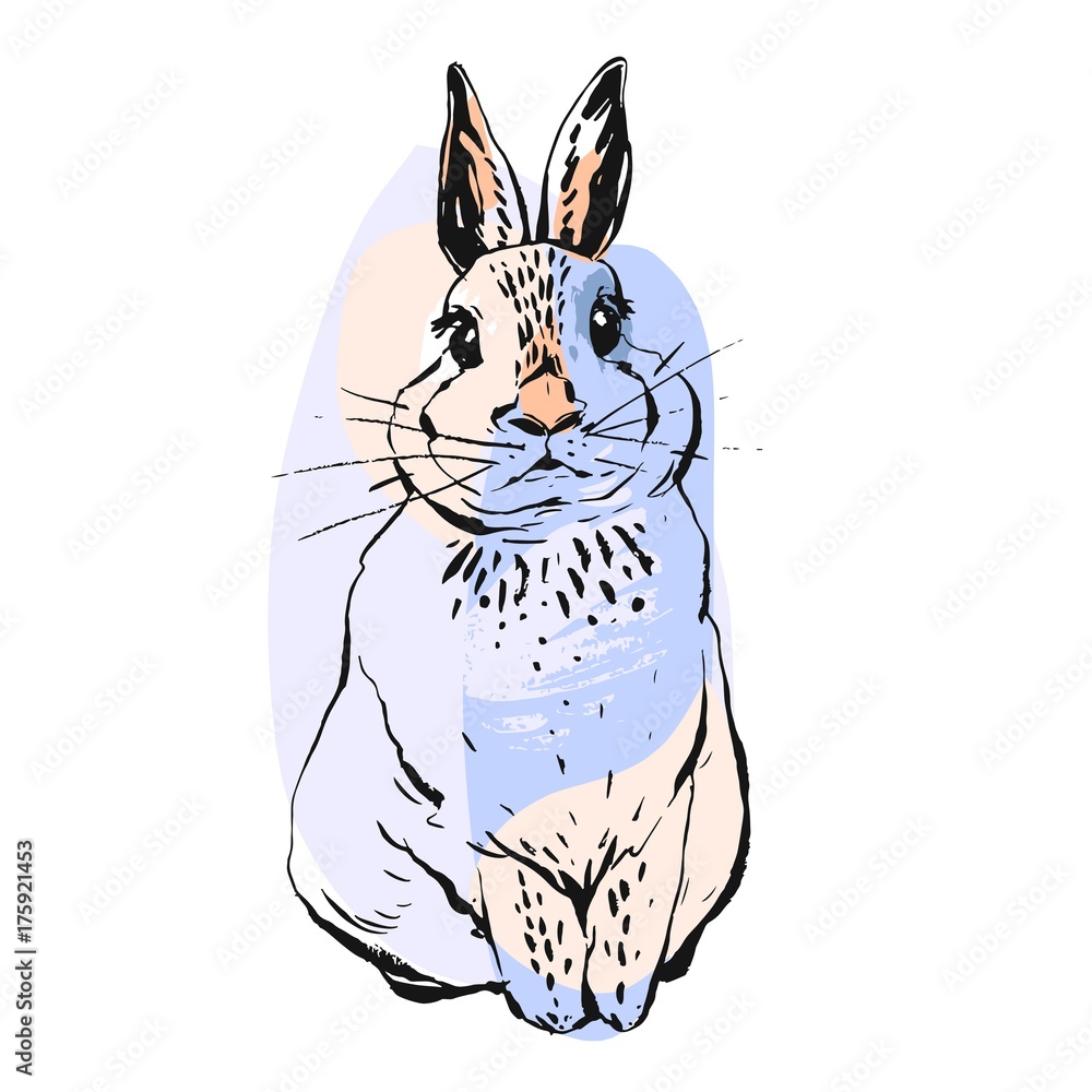 Realistic Rabbit Illustration