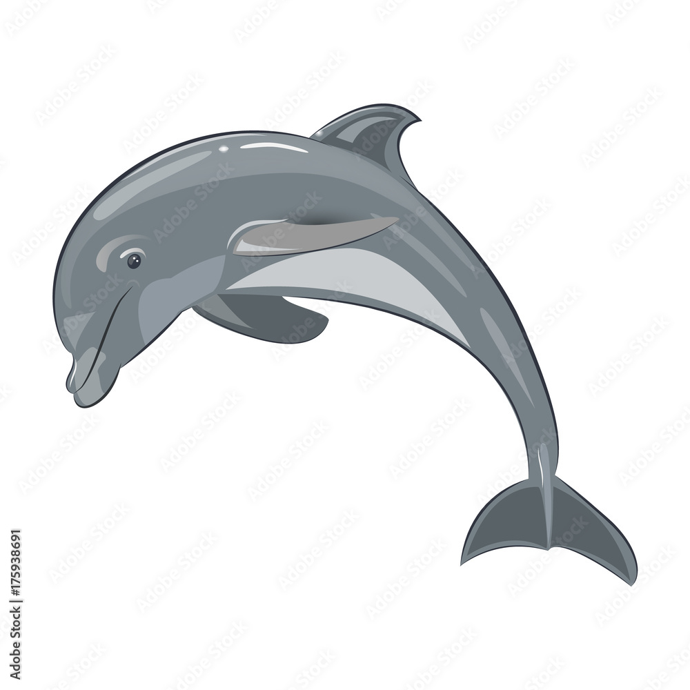 Vector illustration of a dolphin on a transparent background Stock ...