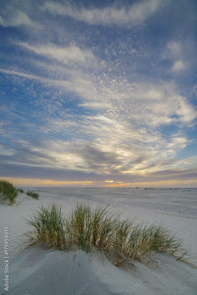 Strandhafer im Sonnenuntergang II Stock-Foto | Adobe Stock