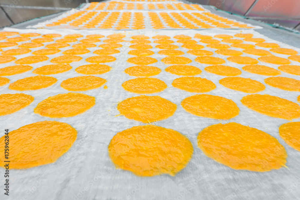 Sun dried mangoes in green house solar drying,sweet thai snack. Stock ...