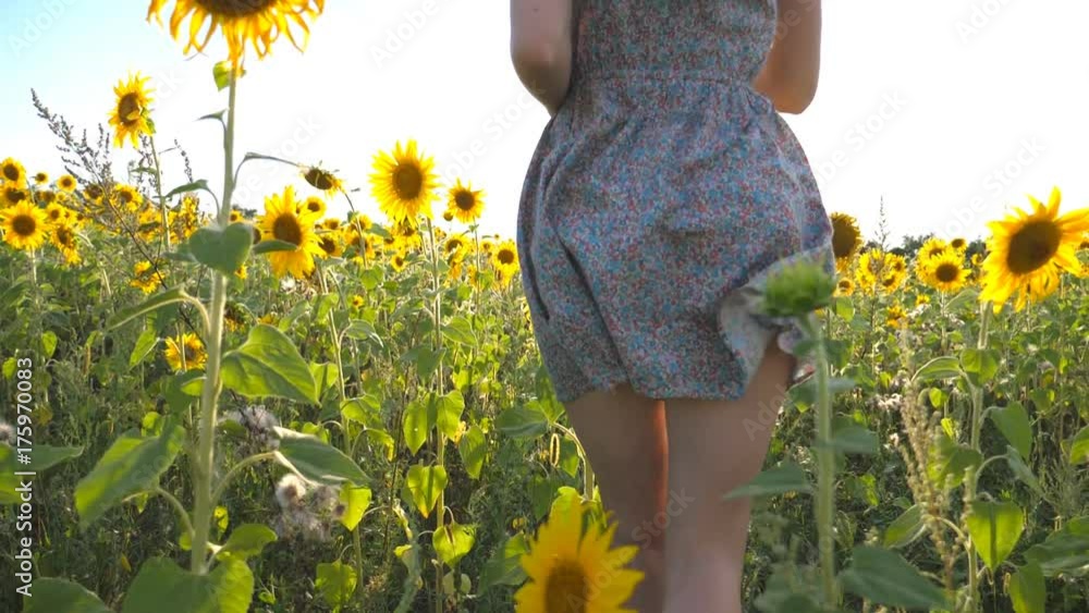 Beautiful girl running to the sun on yellow sunflower field. Happy ...