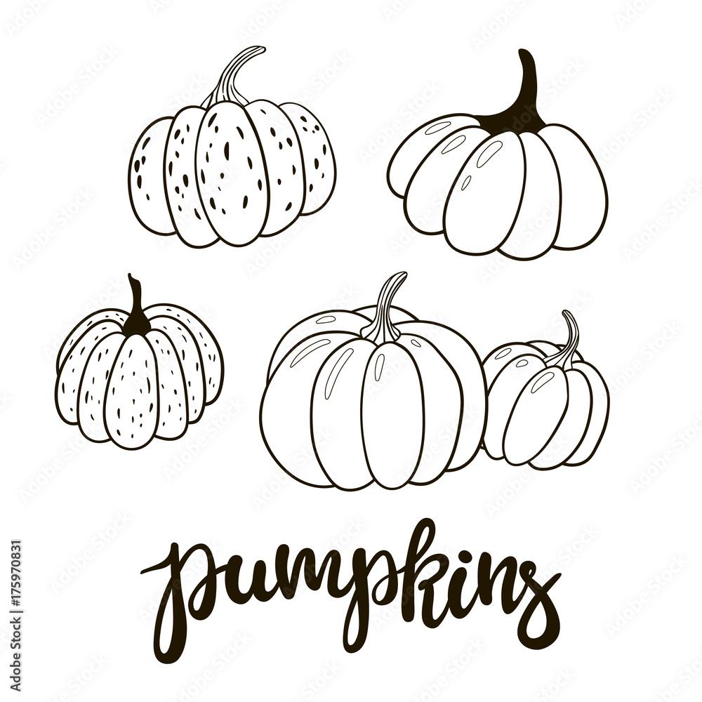 Set of colorless pumpkins isolated on white. Black and white vector ...